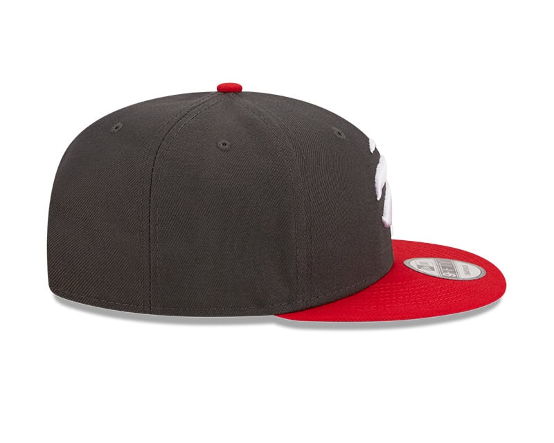 Toronto Raptors New Era Two-Tone Color Pack 9FIFTY Snapback Hat ...