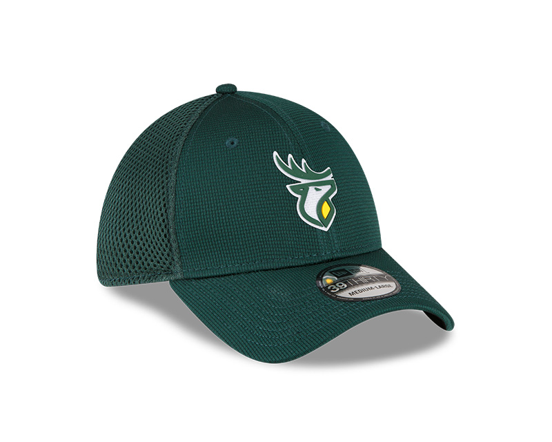 Edmonton Elks New Era 2023 Official Sideline 39THIRTY Flex Hat - Green ...