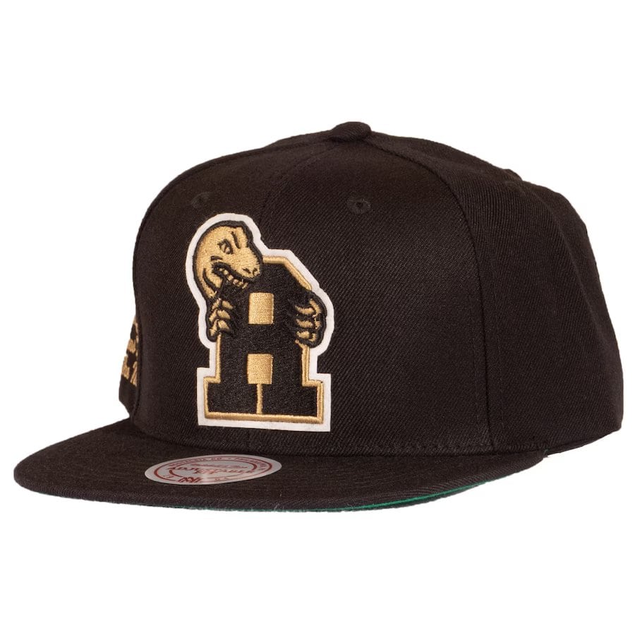 Toronto Raptors Mitchell & Ness Graduation Snapback Hat - Brown ...