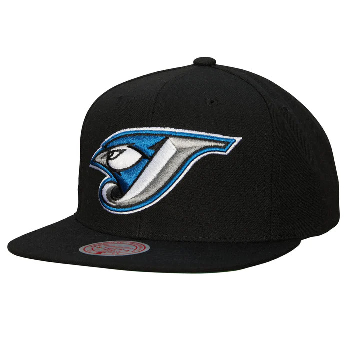 Toronto Blue Jays Mitchell & Ness Evergreen Snapback Hat - Black ...